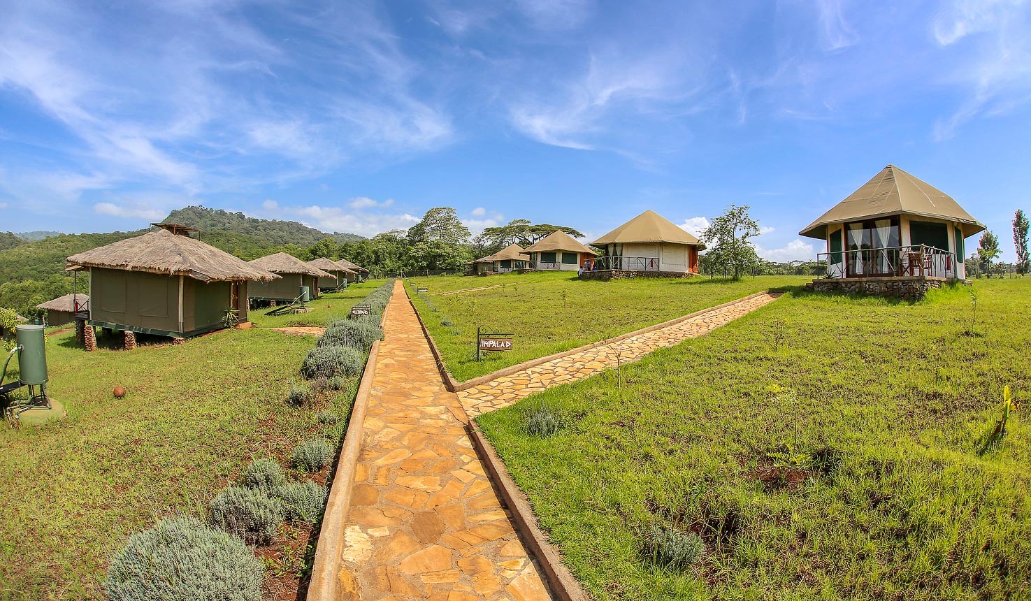 Karatu Simba Lodge - Wipa Tours and Safaris